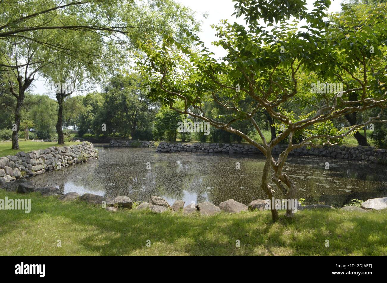Pond in Gyeongju National park, Korea Stock Photo - Alamy