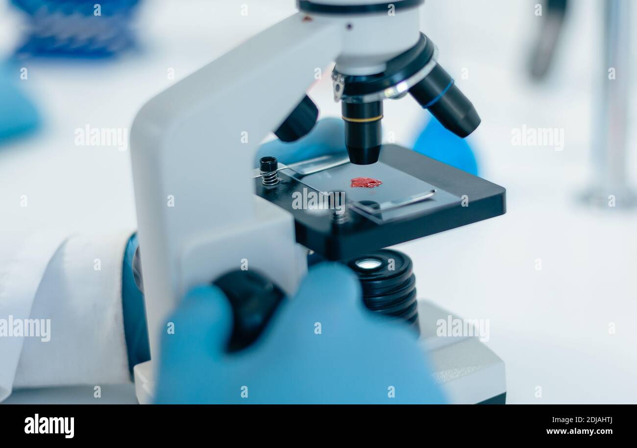 close up. scientist looking through a microscope Stock Photo - Alamy