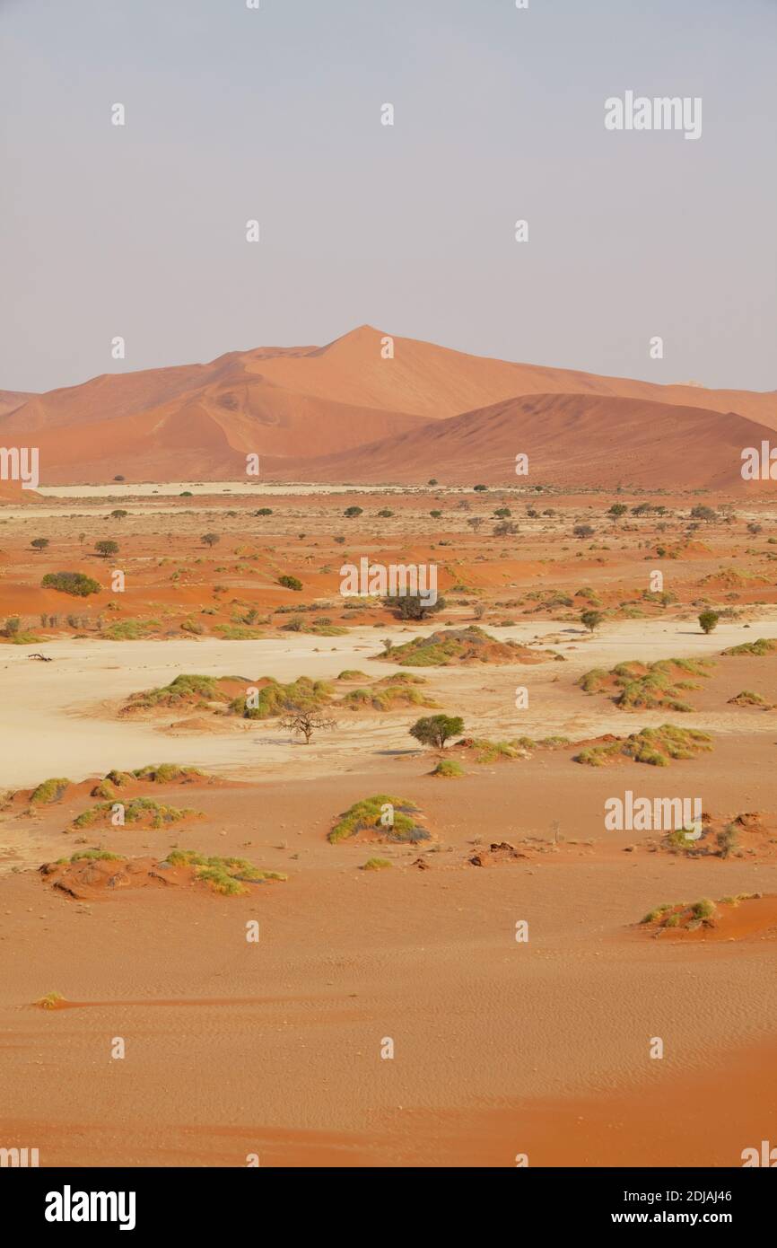 Sand dunes in Namib desert, Africa, Namibia Stock Photo - Alamy