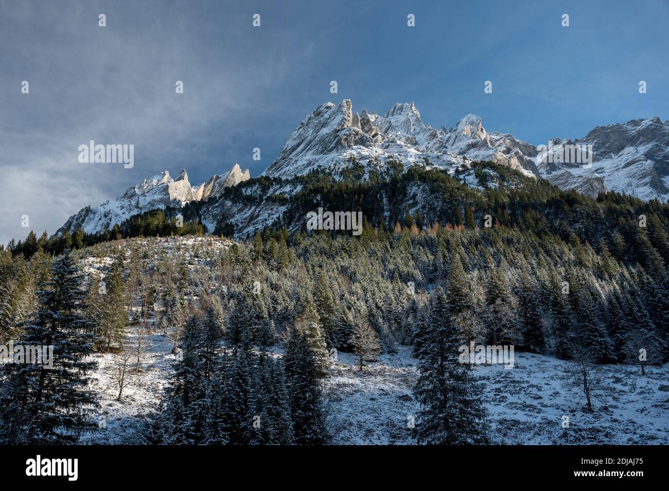 Engelhorn hi-res stock photography and images - Alamy