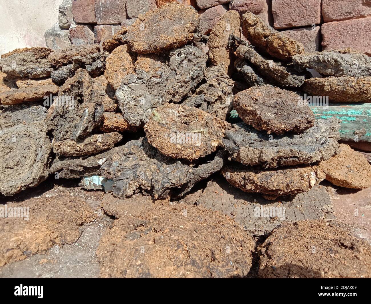 Cow Dung Cake High Resolution Stock Photography and Images - Alamy