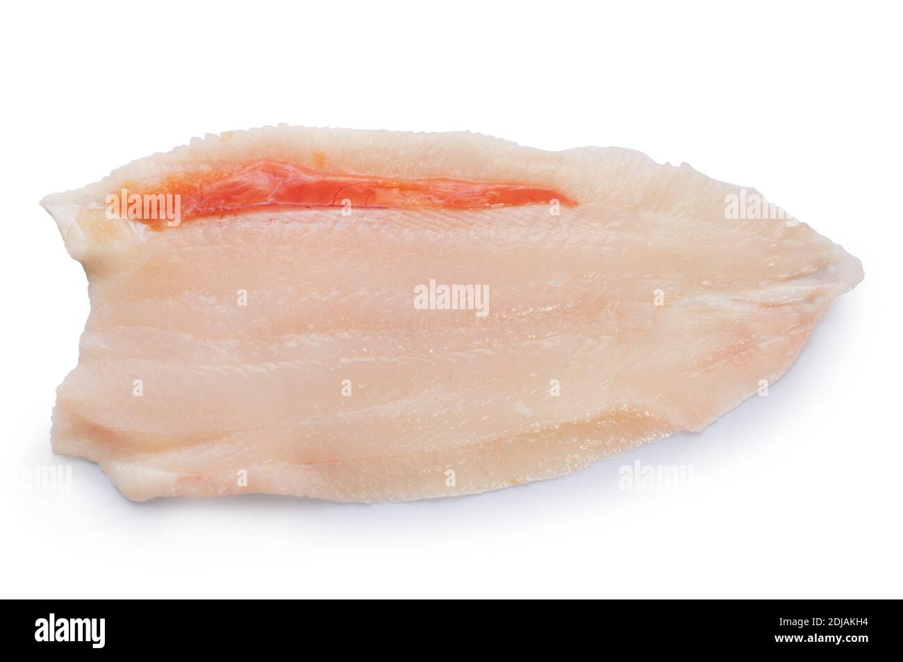 Studio shot go a fillet of Dover Sole cut out against a white ...