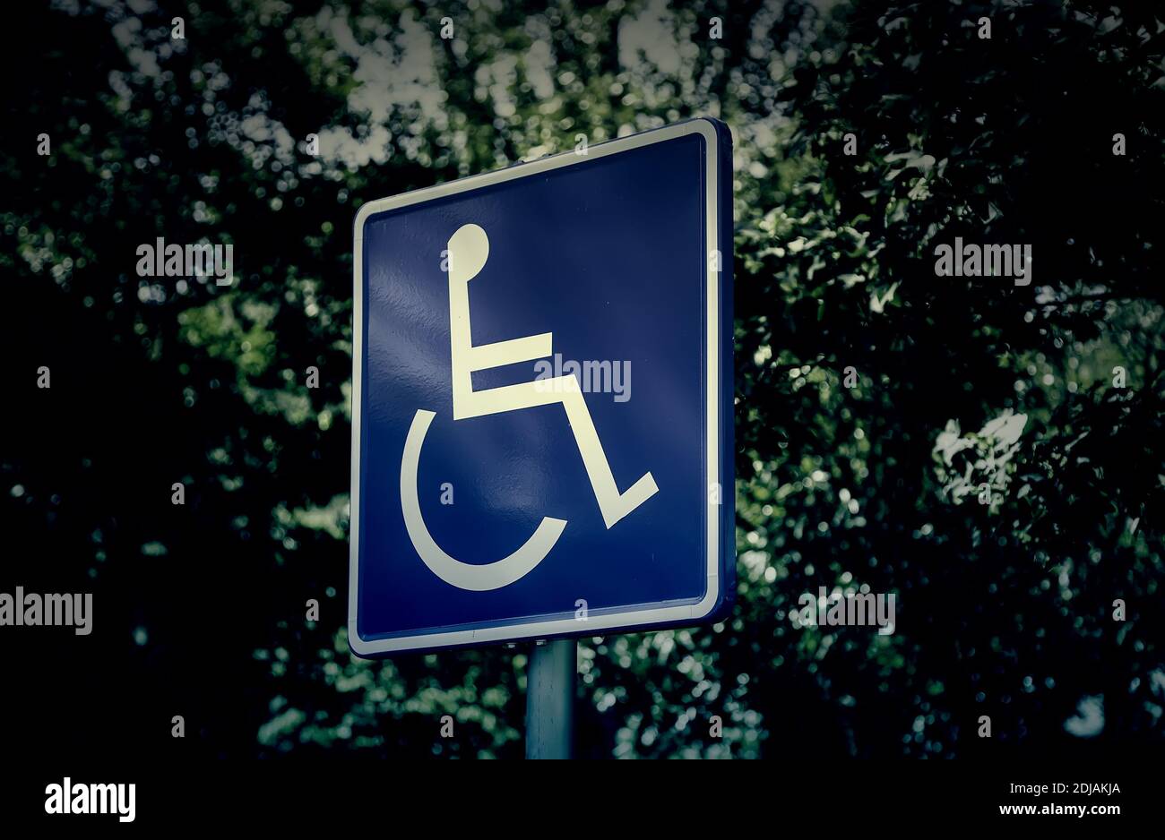 Vertical sign for disabled people, detail of information sign ...