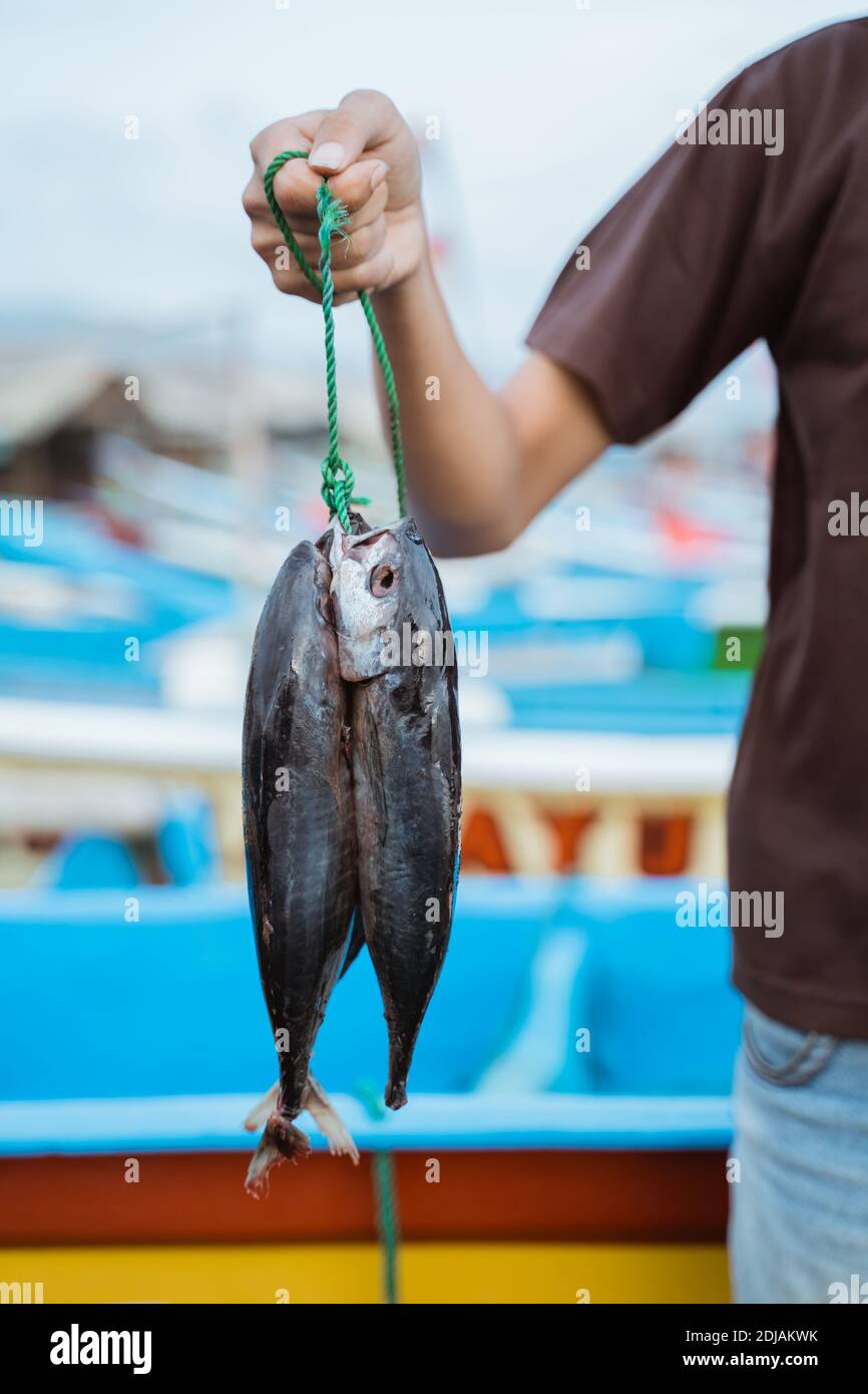 Close up fisherman showing fish in front of his boat Stock Photo - Alamy