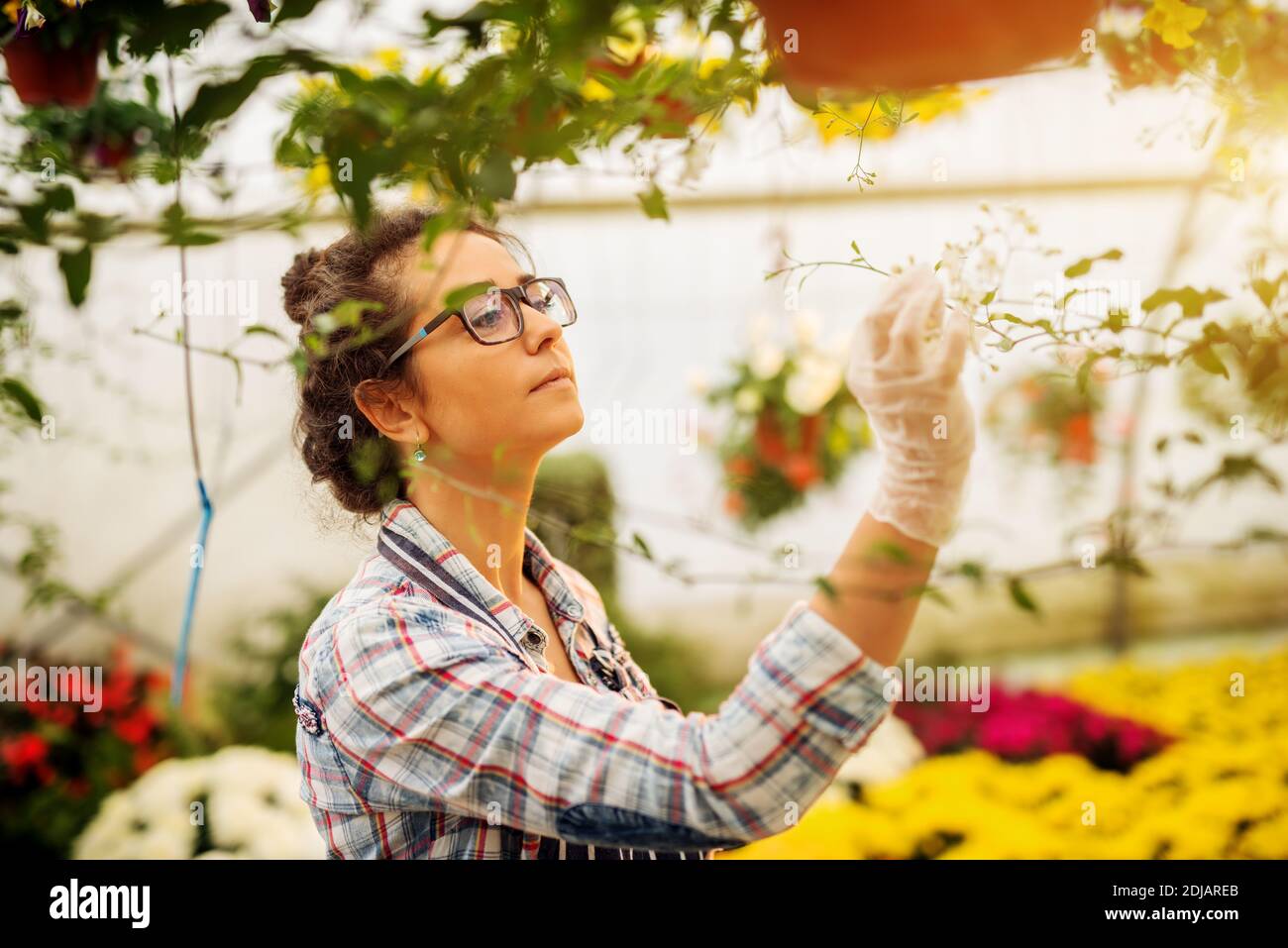 Girl checking plants in pots hi-res stock photography and images - Alamy