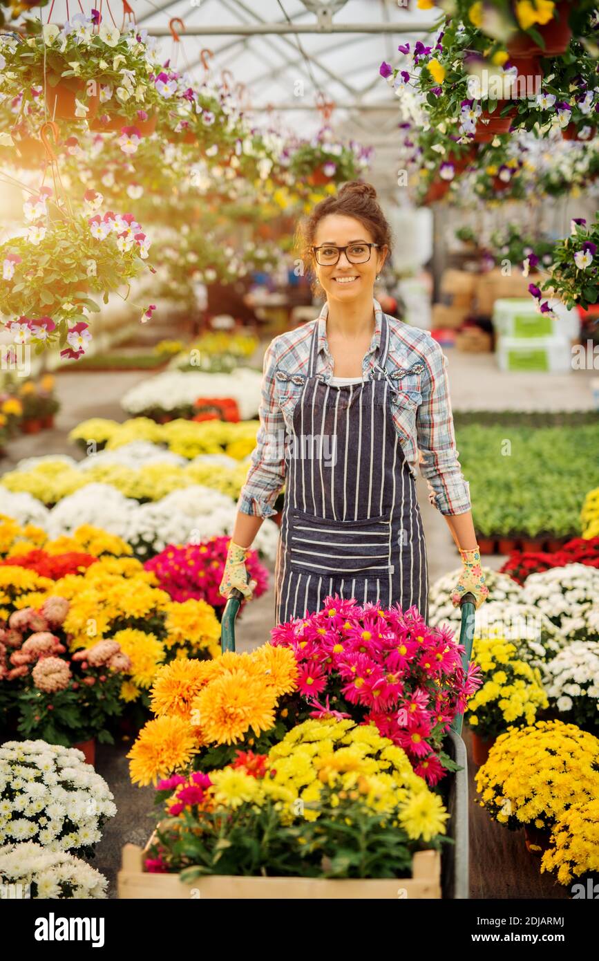 Charming happy florist female holding cart full of flowers in the ...