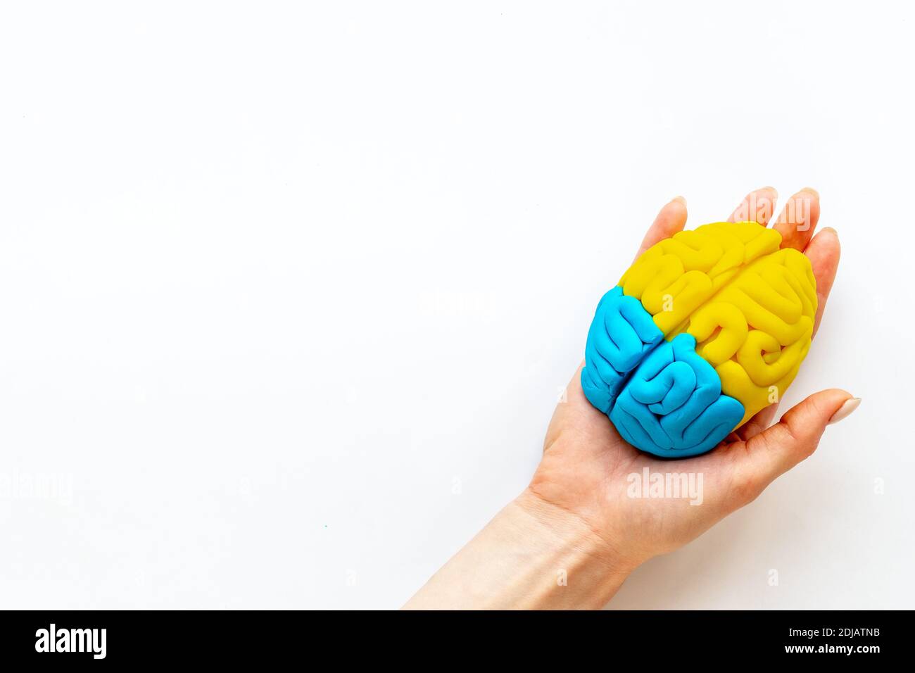 Idea concept. Use your brain. Model of clay in the hand, top view Stock ...