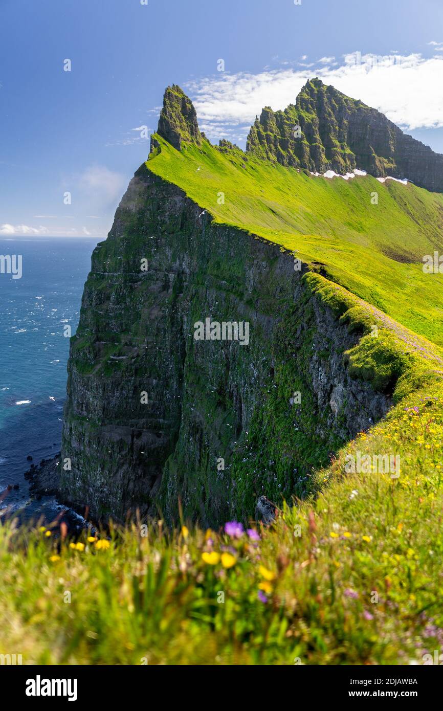 Hornbjarg cliffs hi-res stock photography and images - Alamy