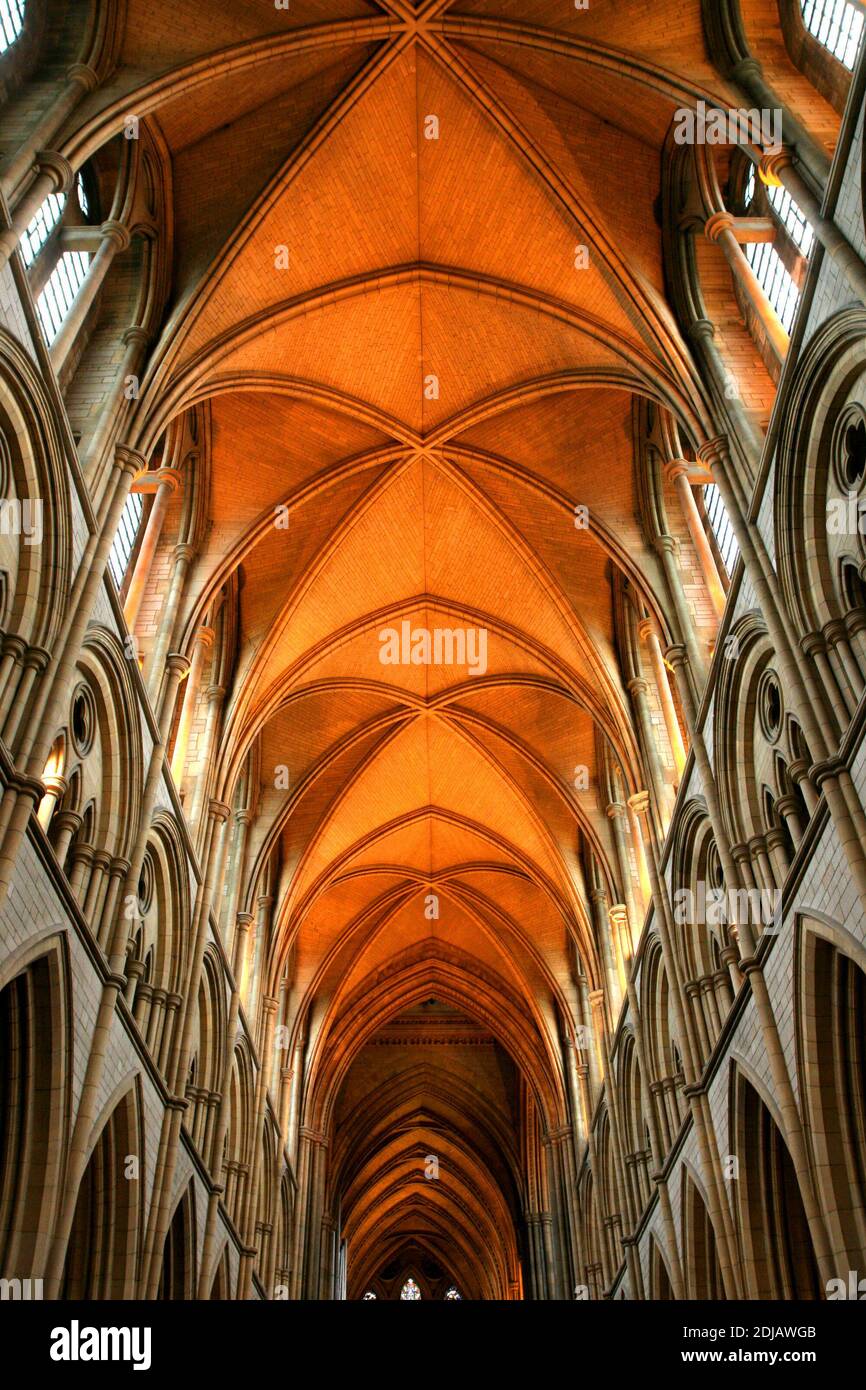 Exeter Cathedral, Truro, Cornwall, UK interior vaulted wooden ceiling ...