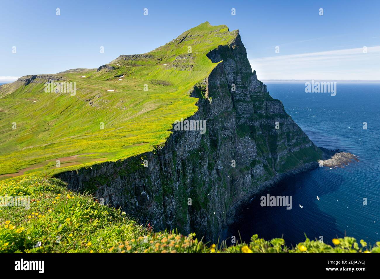 Hornstrandir north of iceland hi-res stock photography and images - Alamy