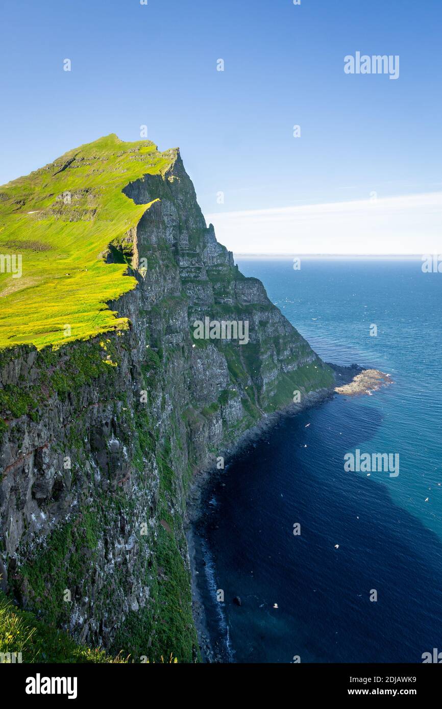 Hornbjarg cliffs hi-res stock photography and images - Alamy