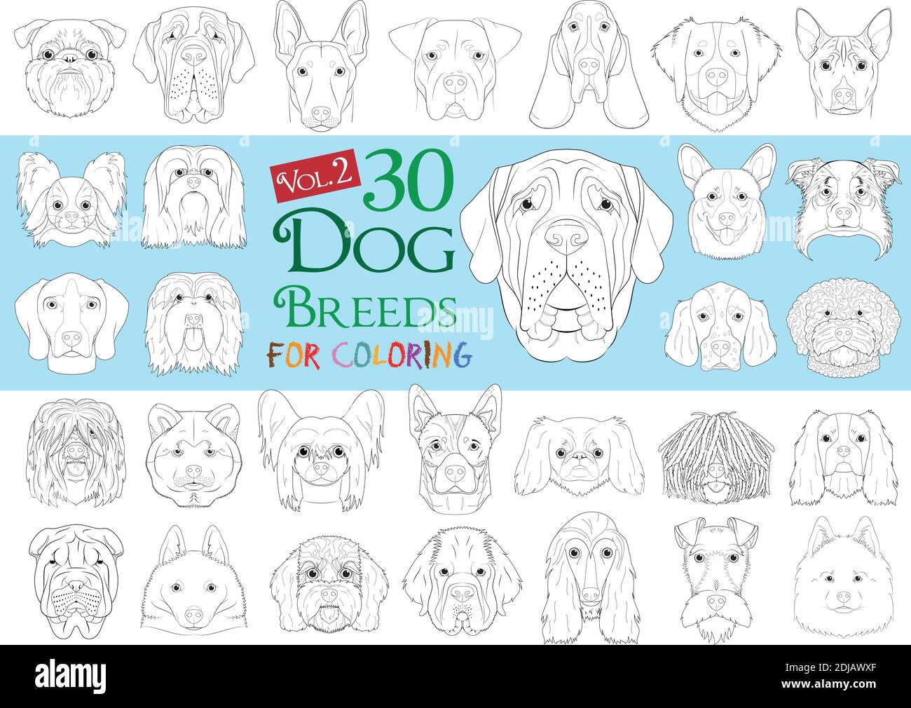 Dog Breeds Collection Volume 2: Set of 30 different dog breeds for ...