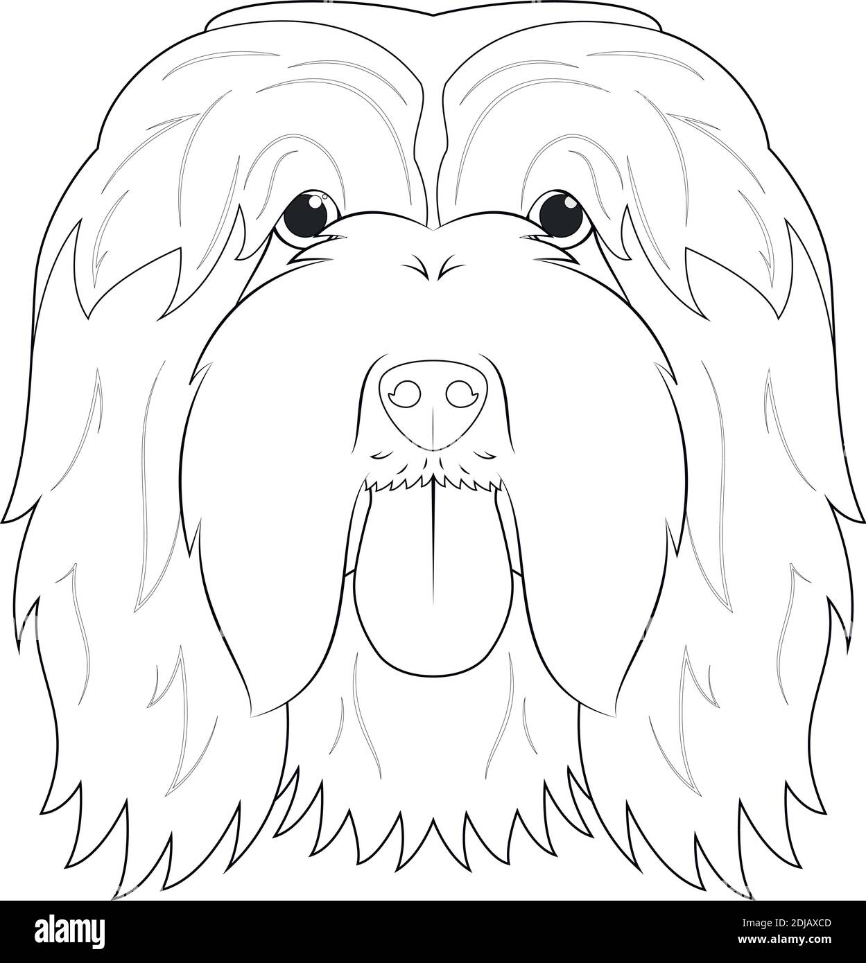 Bearded Collie dog easy coloring cartoon vector illustration. Isolated ...