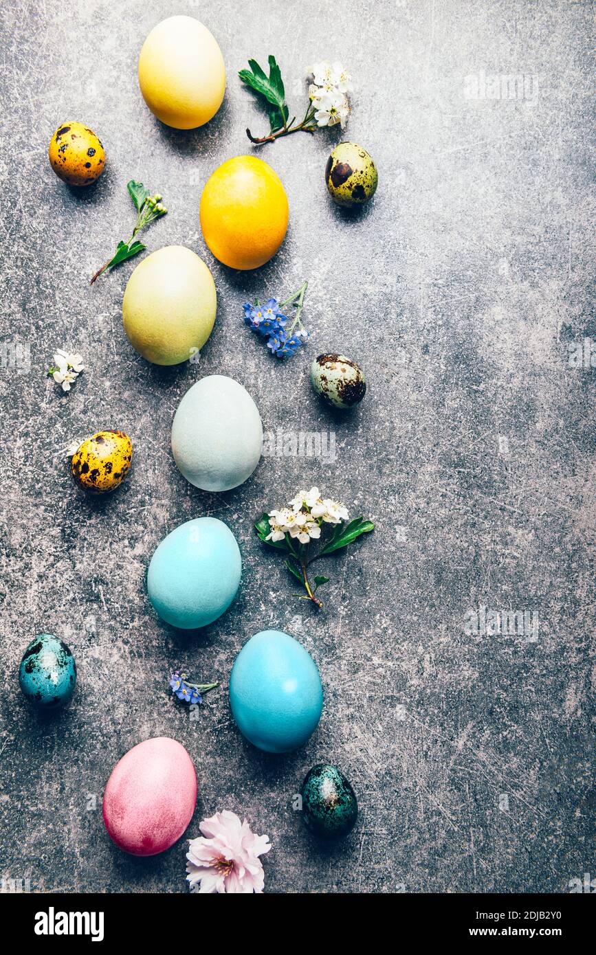 Naturally colored organic eggs hi-res stock photography and images - Alamy