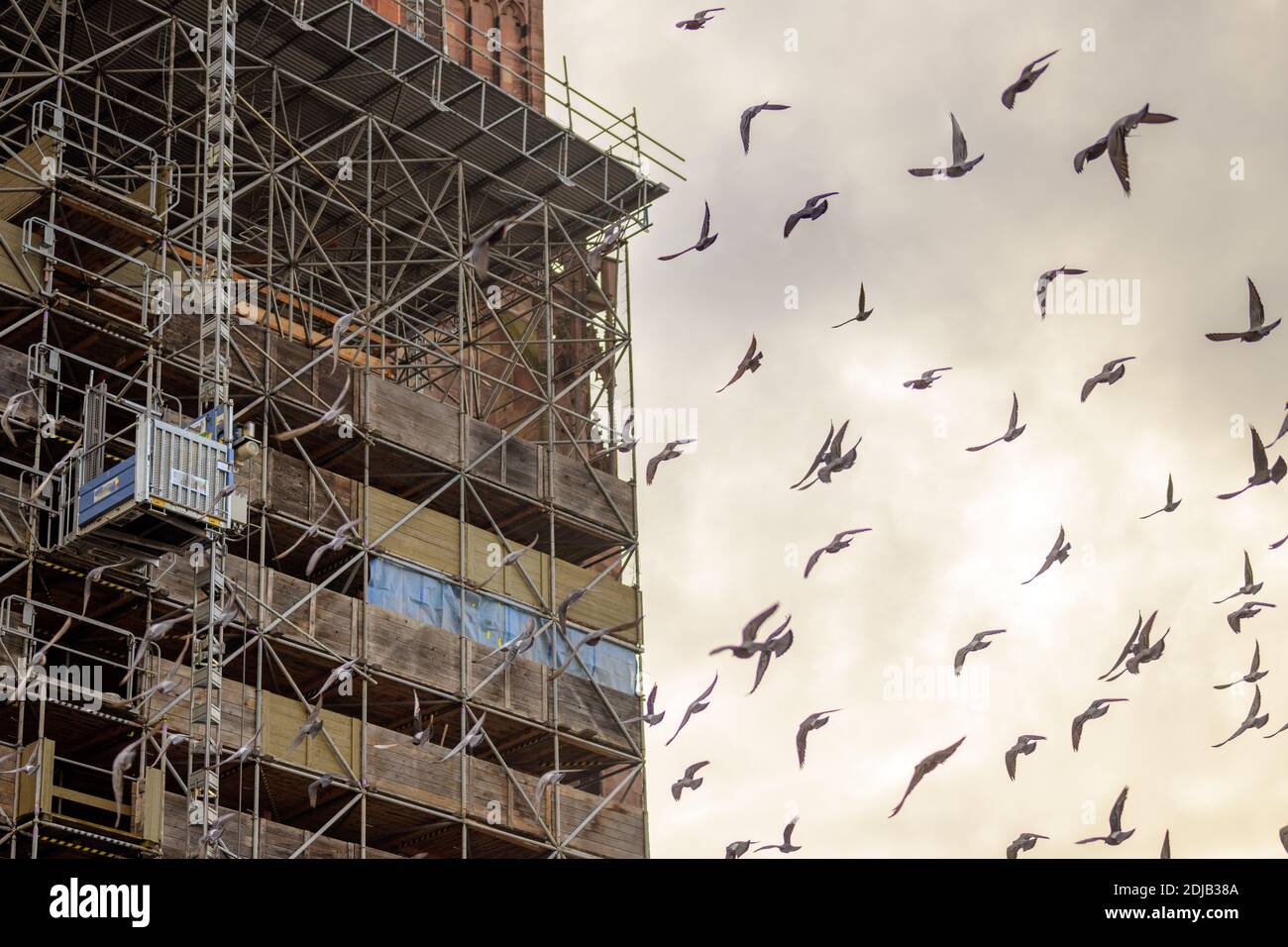Scaffolding covering hi-res stock photography and images - Alamy