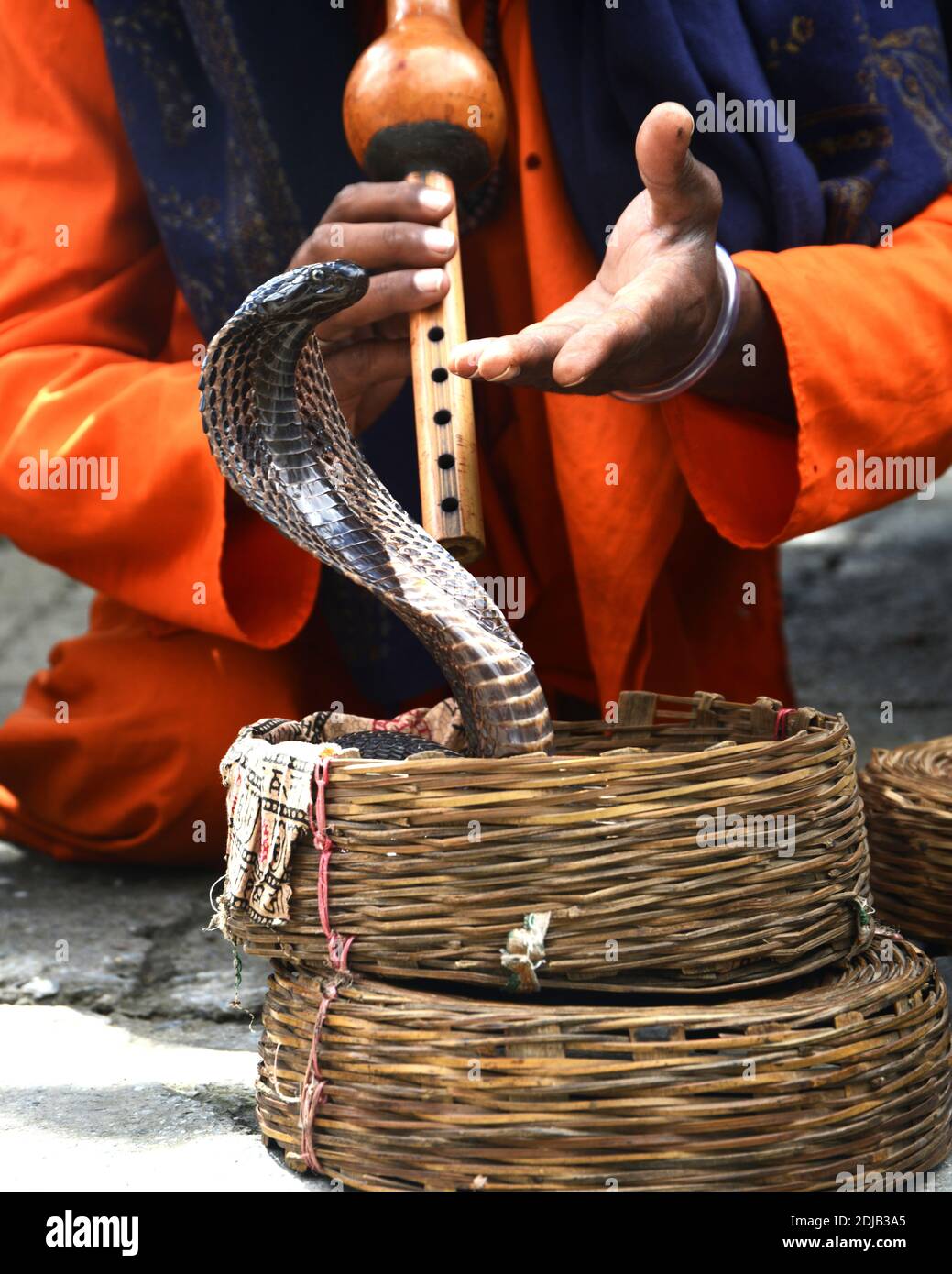 Playing with the snake hi-res stock photography and images - Alamy