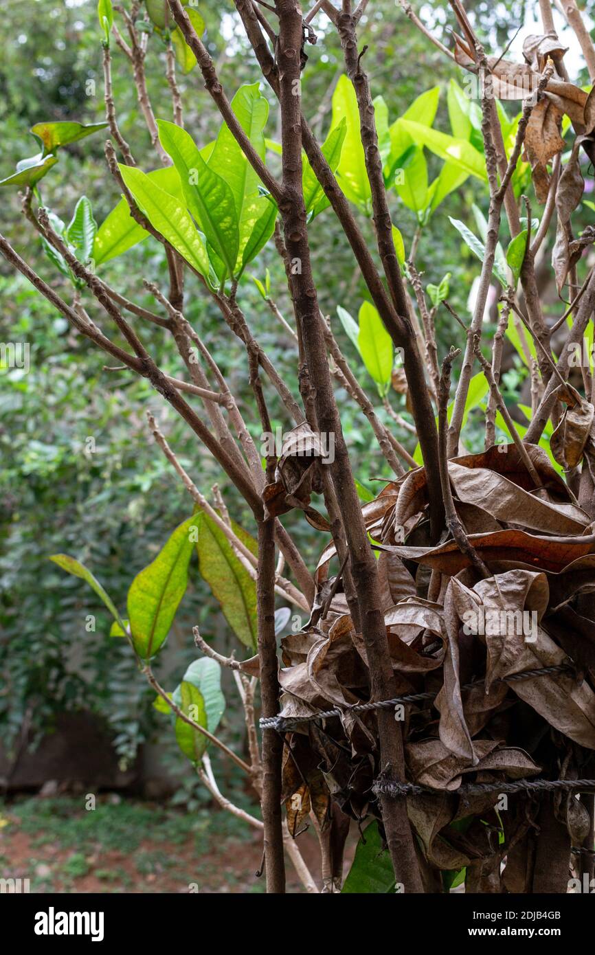 Old & new Stock Photo - Alamy