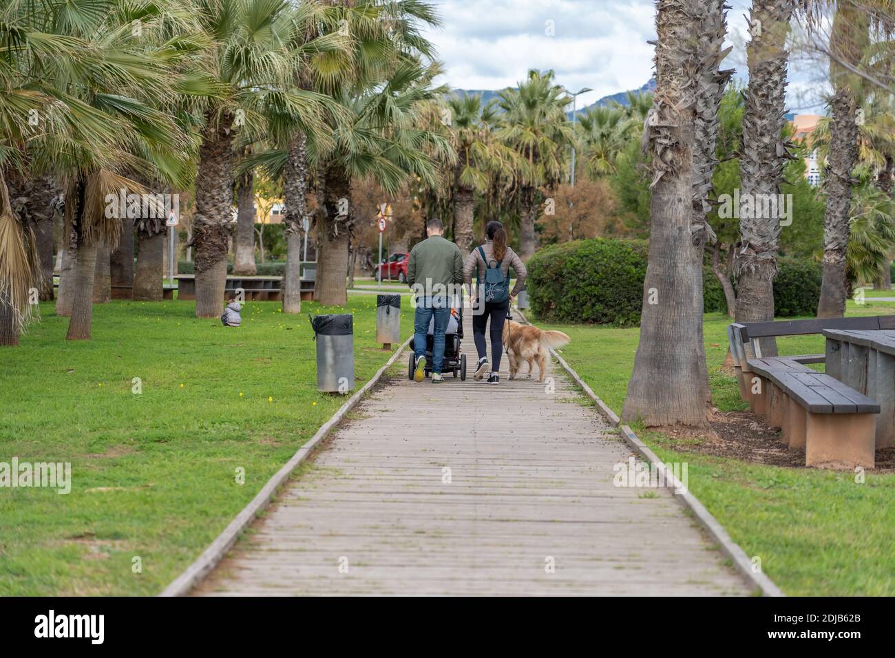 A group of people with dogs walking on a boardwalk surrounded by bushes ...