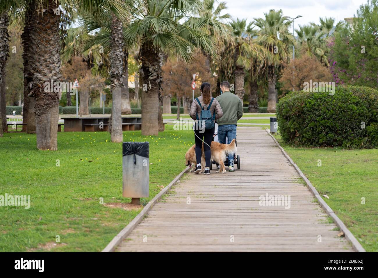 Two people with dogs walking on a boardwalk surrounded by bushes and ...