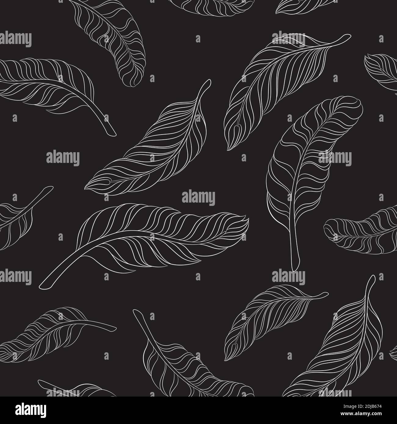 White feathers on white background Black and White Stock Photos ...