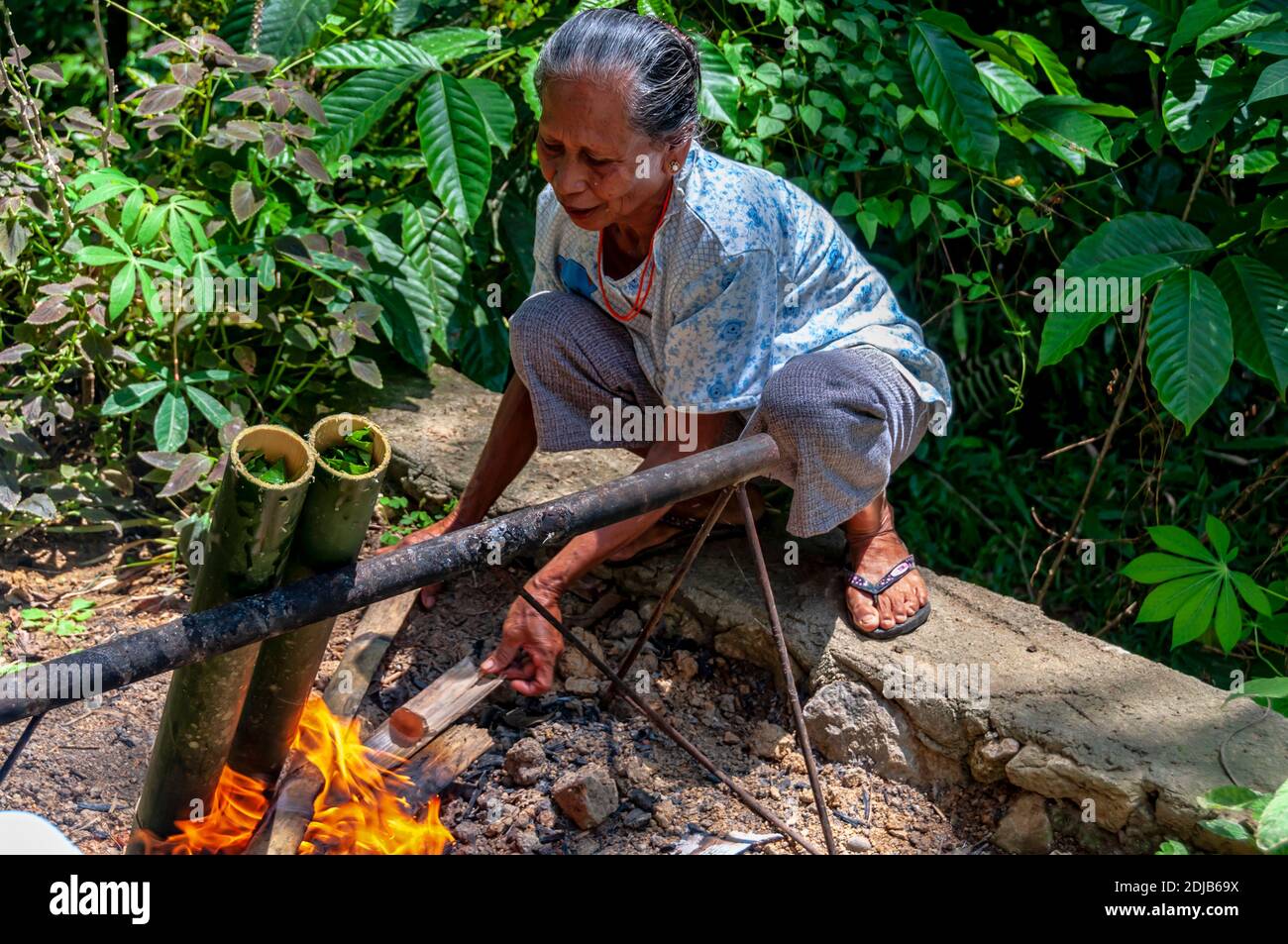 Inside bamboo hi-res stock photography and images - Alamy