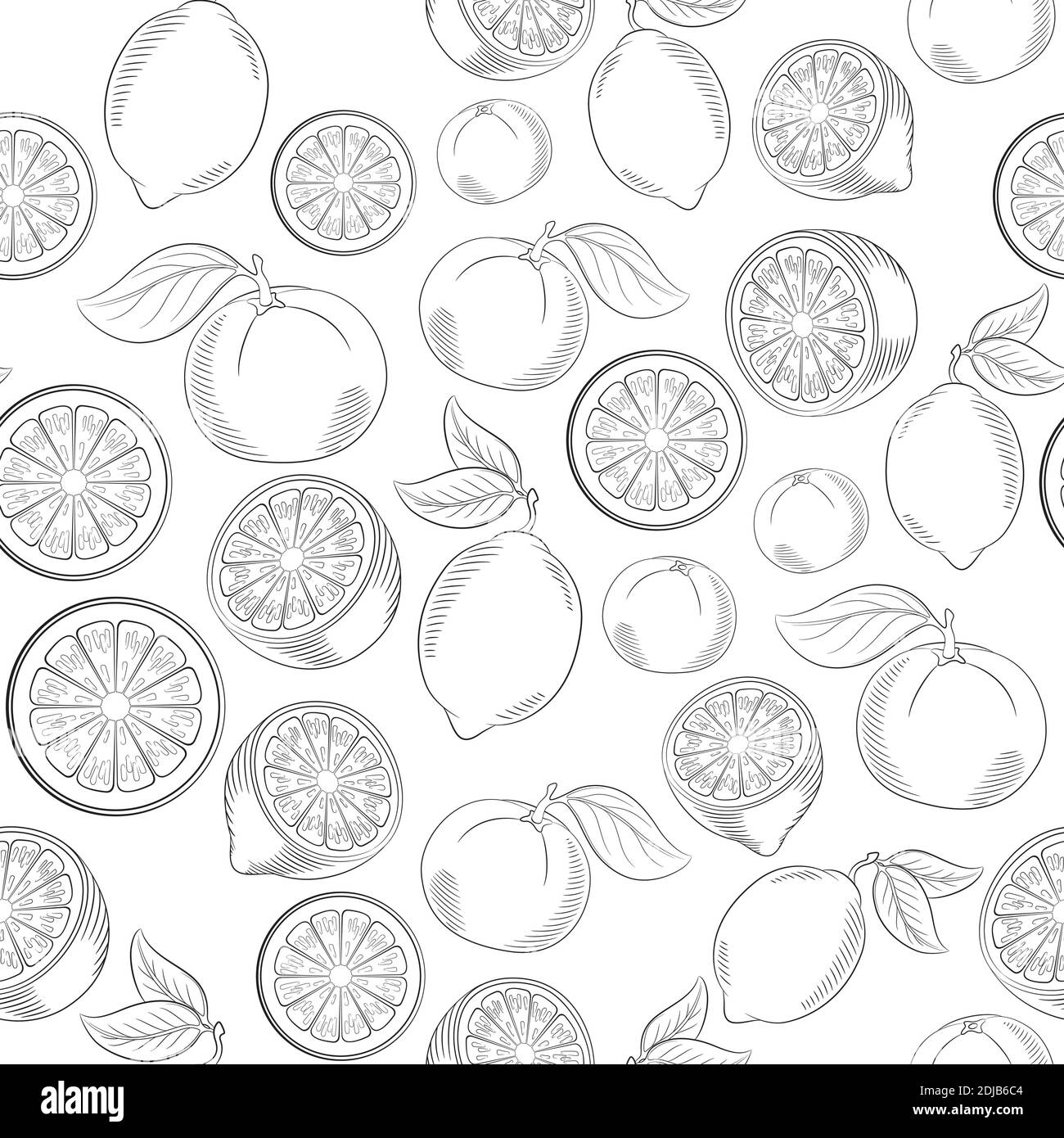 Black and white citrus seamless pattern on a white background Stock ...