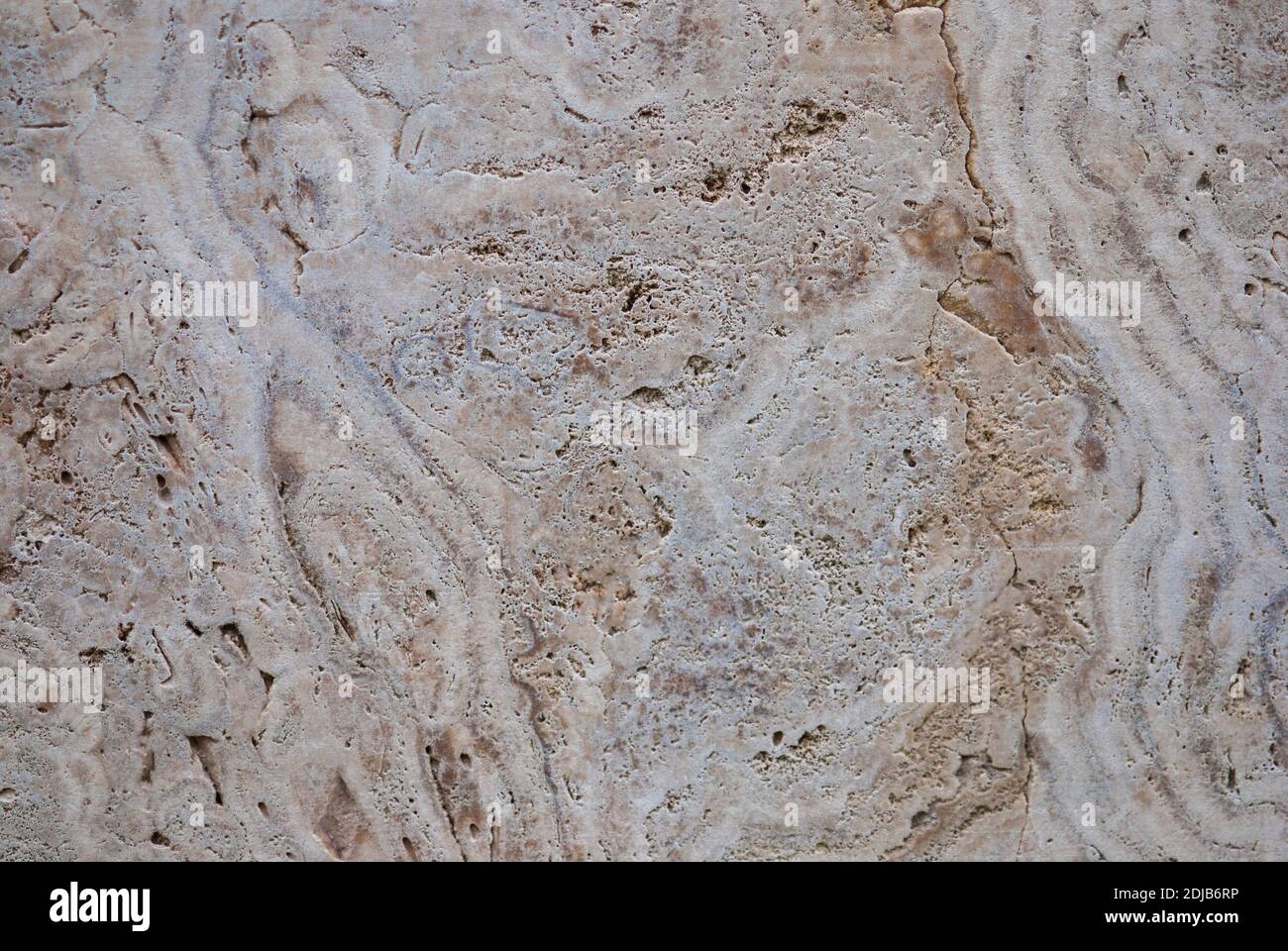 Natural freshwater limestome (travertin, Italian banded marble, calc ...