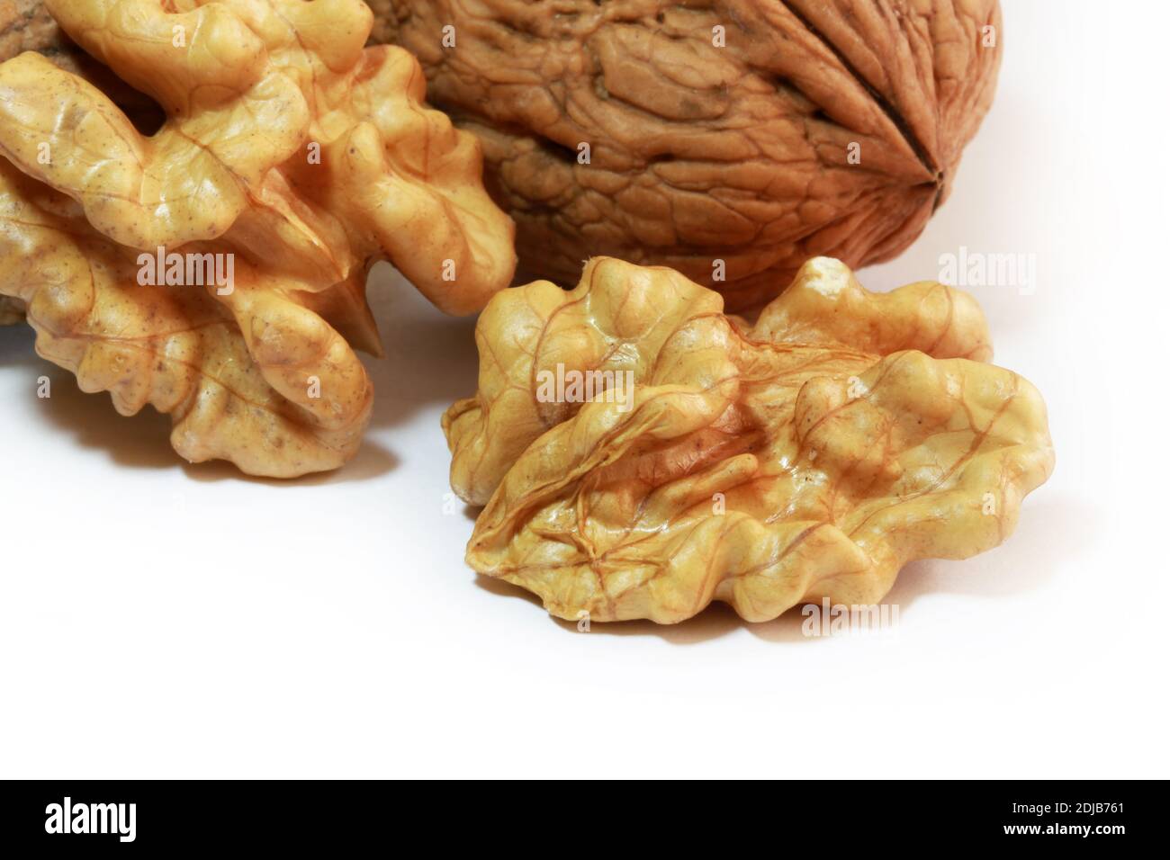Seed dried pod husk hi-res stock photography and images - Alamy