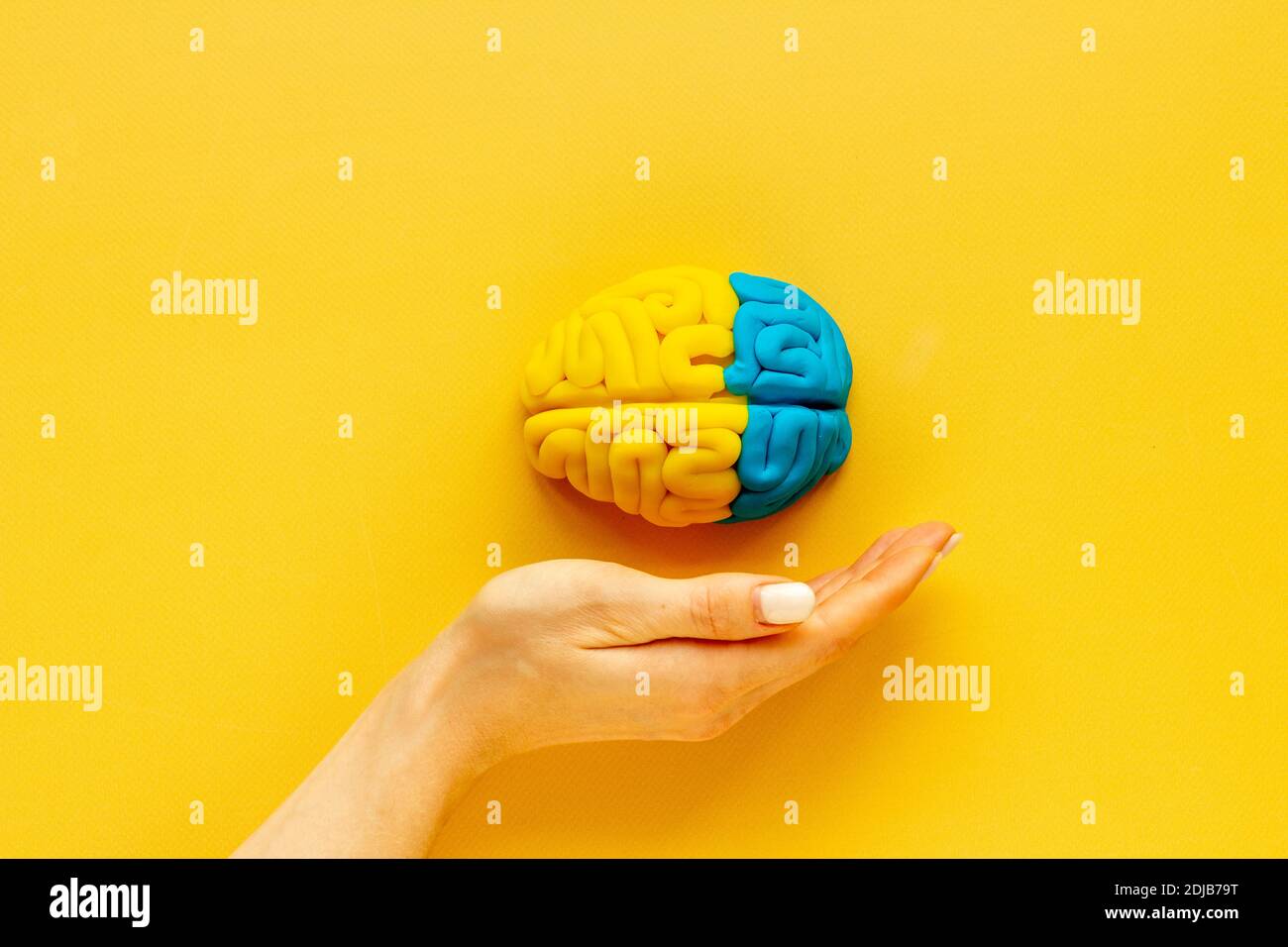 Idea concept. Use your brain. Model of clay in the hand, top view Stock ...