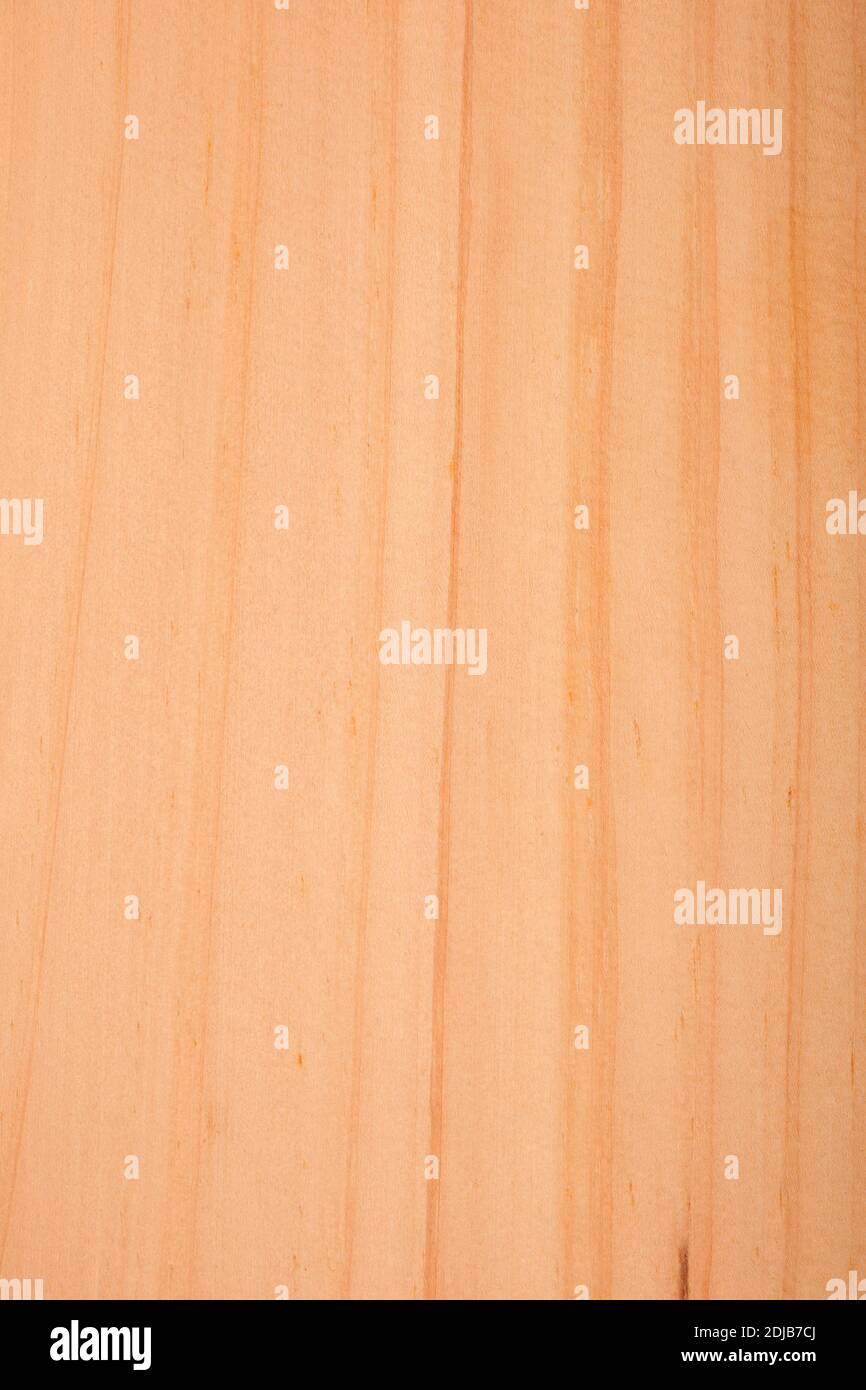 Strabus hi-res stock photography and images - Alamy