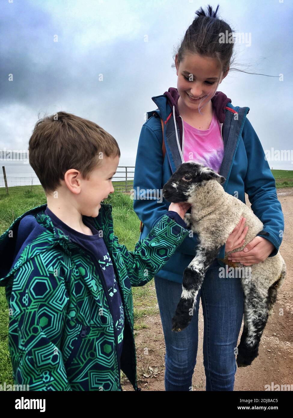 Child playing with goat hi-res stock photography and images - Alamy