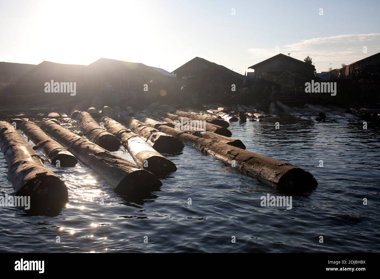 Wood logs floating on water hi-res stock photography and images - Alamy