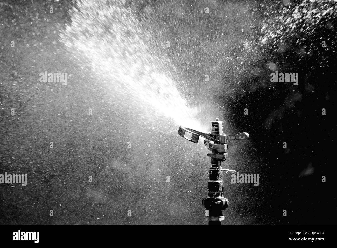 Sprinkler spraying water Black and White Stock Photos & Images - Alamy