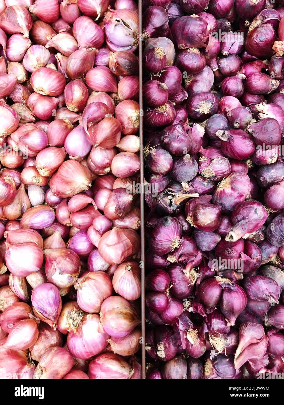 Dual tone color hi-res stock photography and images - Alamy