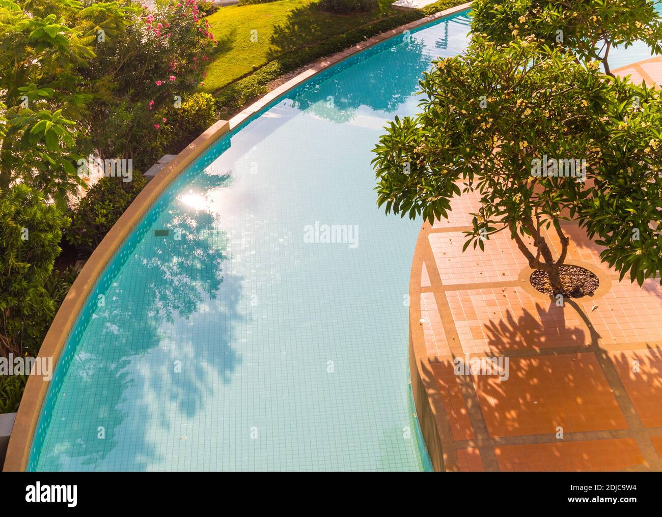 Pool and relaxing park, view from a high-rise building Stock Photo - Alamy