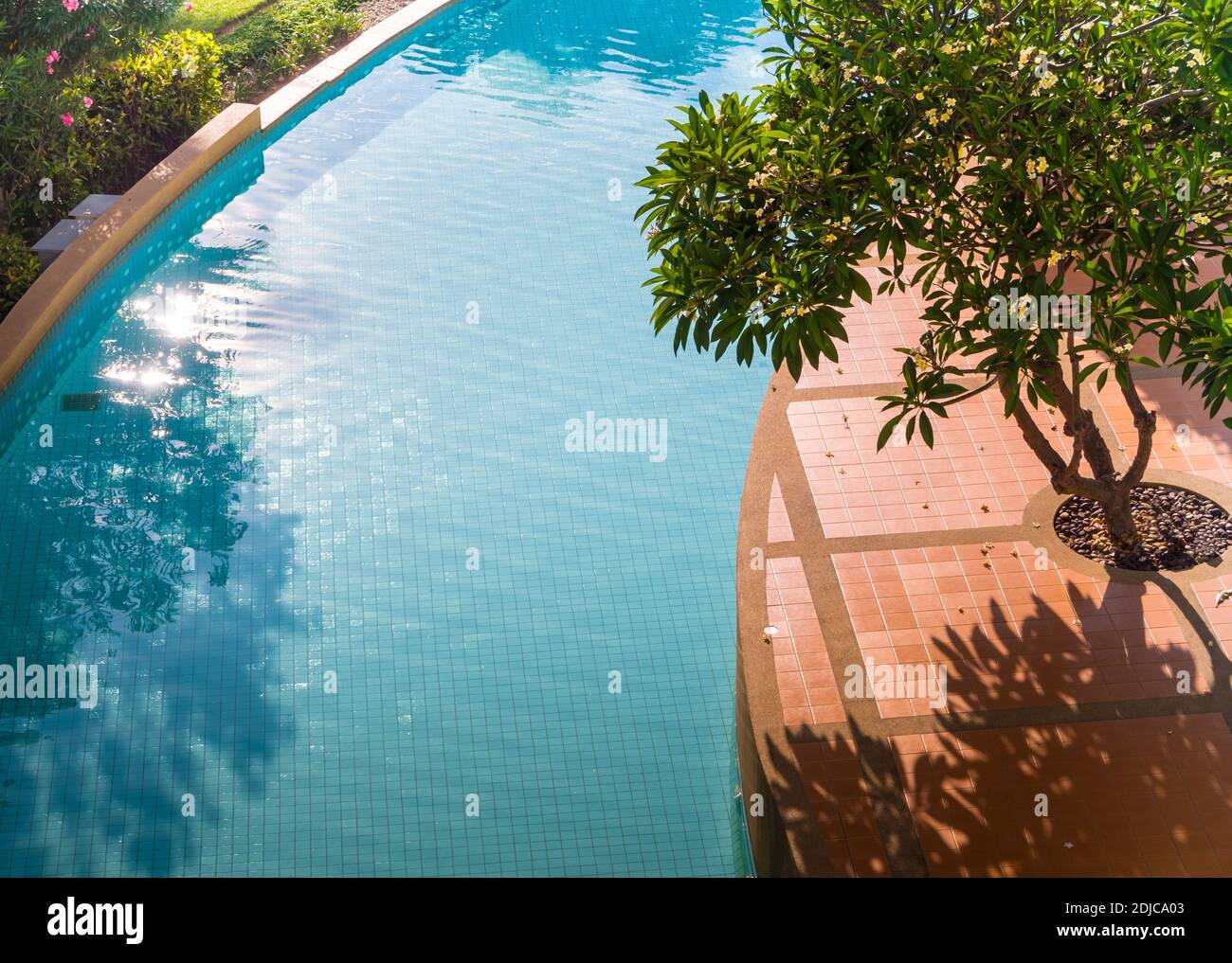Pool and relaxing park, view from a high-rise building Stock Photo - Alamy