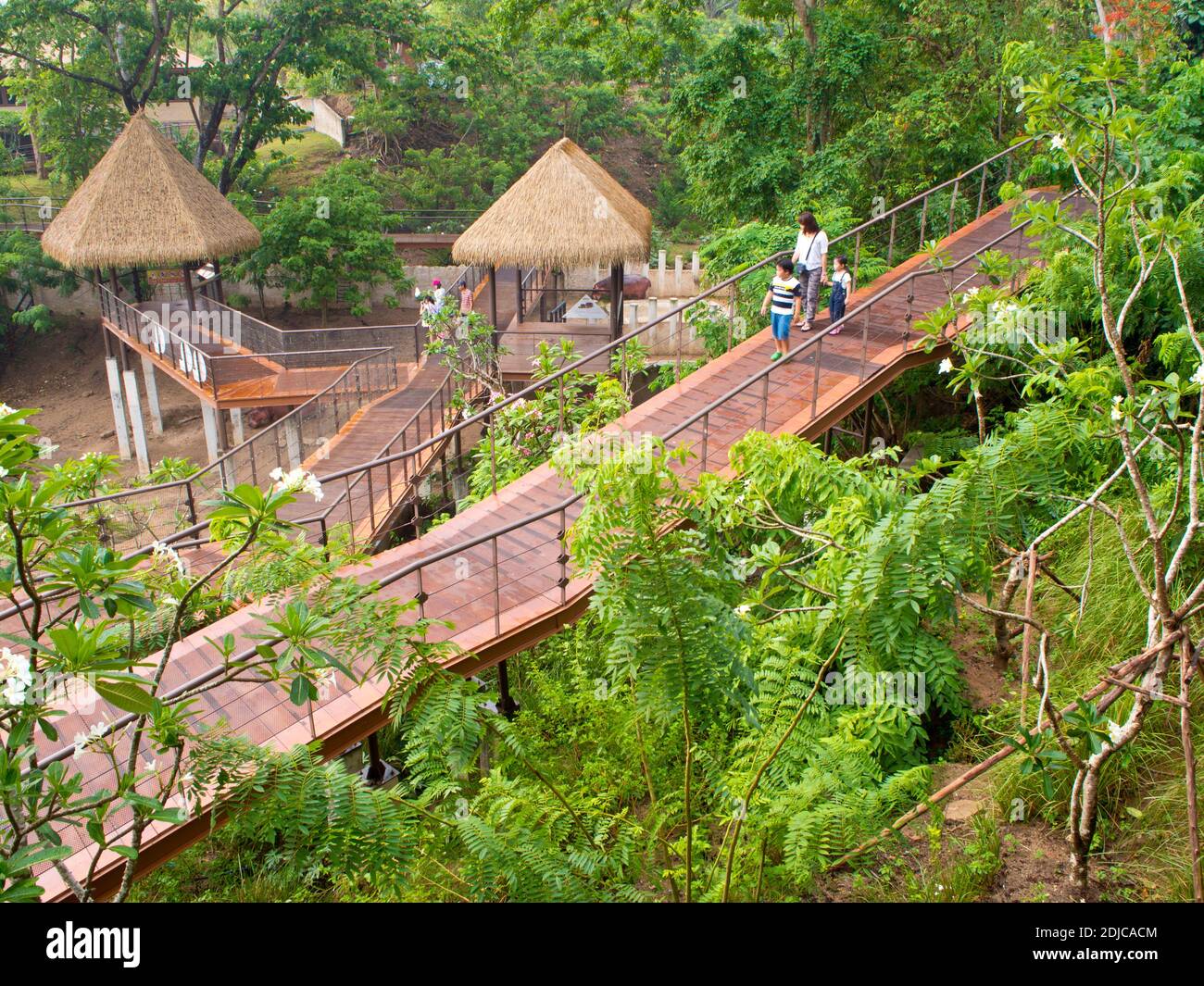 Wooden Walkway in the Zoo Stock Photo - Alamy