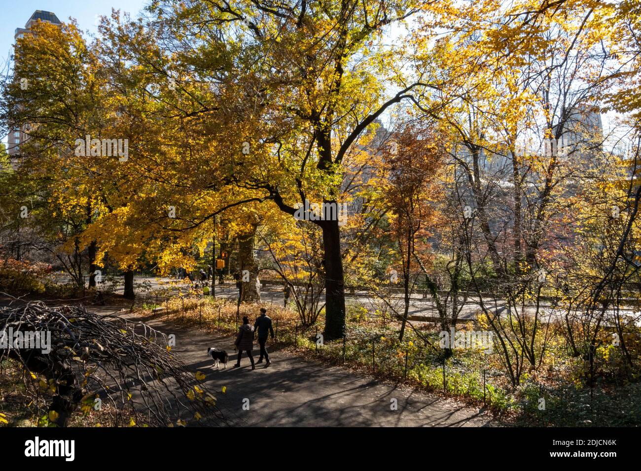 The Bridle Path in Central Park is a popular walkway, New York City ...