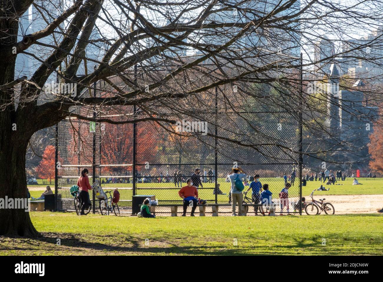 Great Lawn Ballfields in Central Park, NYC, USA Stock Photo - Alamy