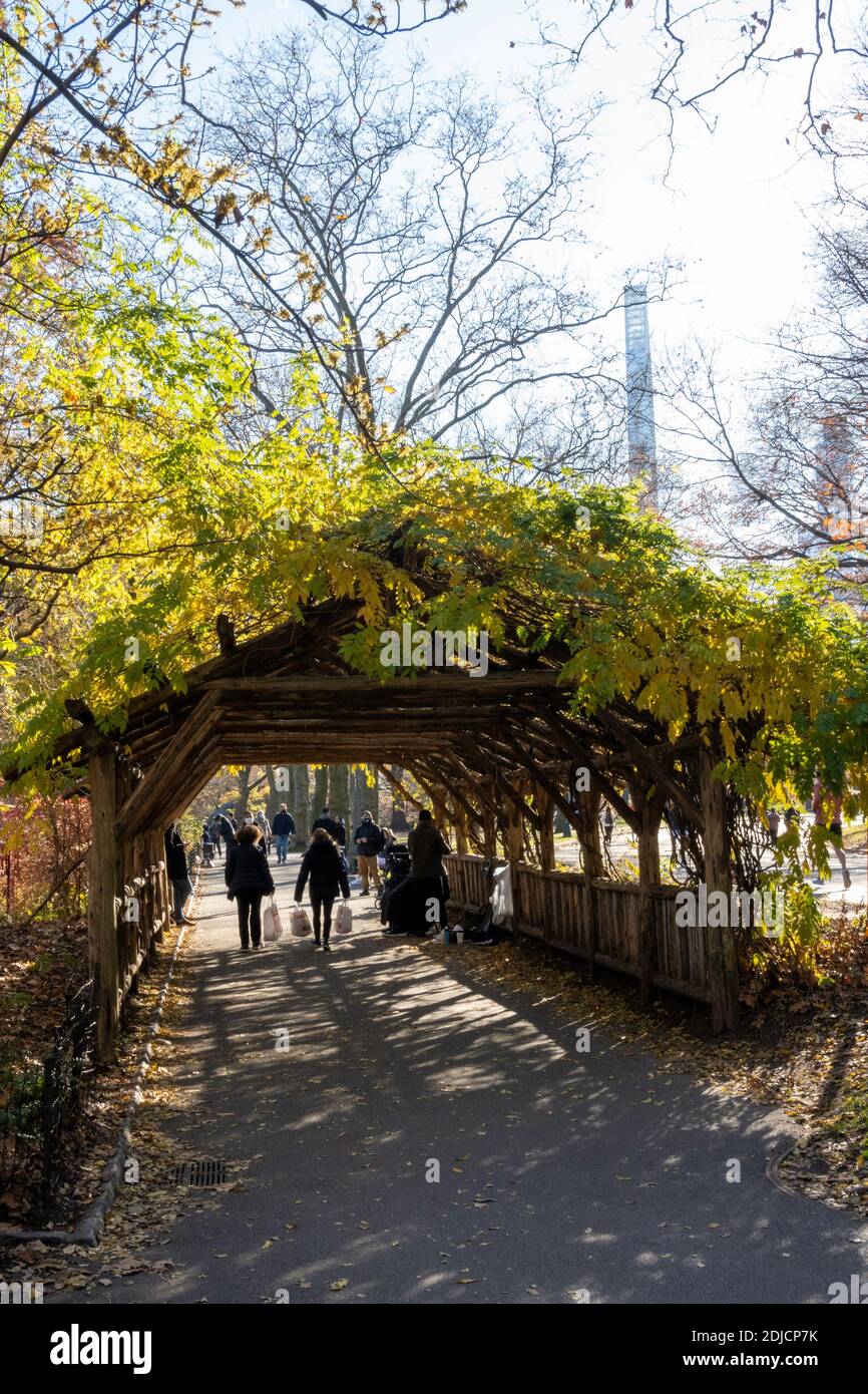 Fall season park walkway hi-res stock photography and images - Alamy