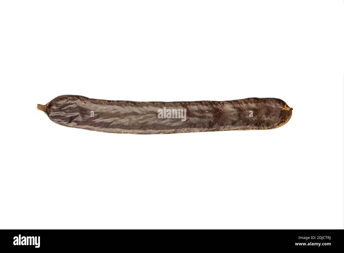 Single carob pod isolated on white background. Top view. Healthy ...