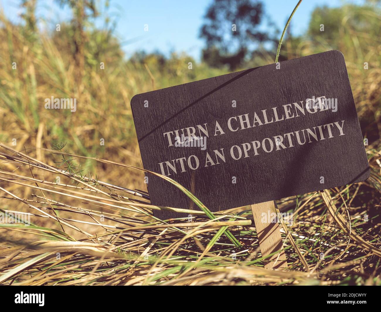 Turn challenge into opportunity the inscription on sign on the path ...