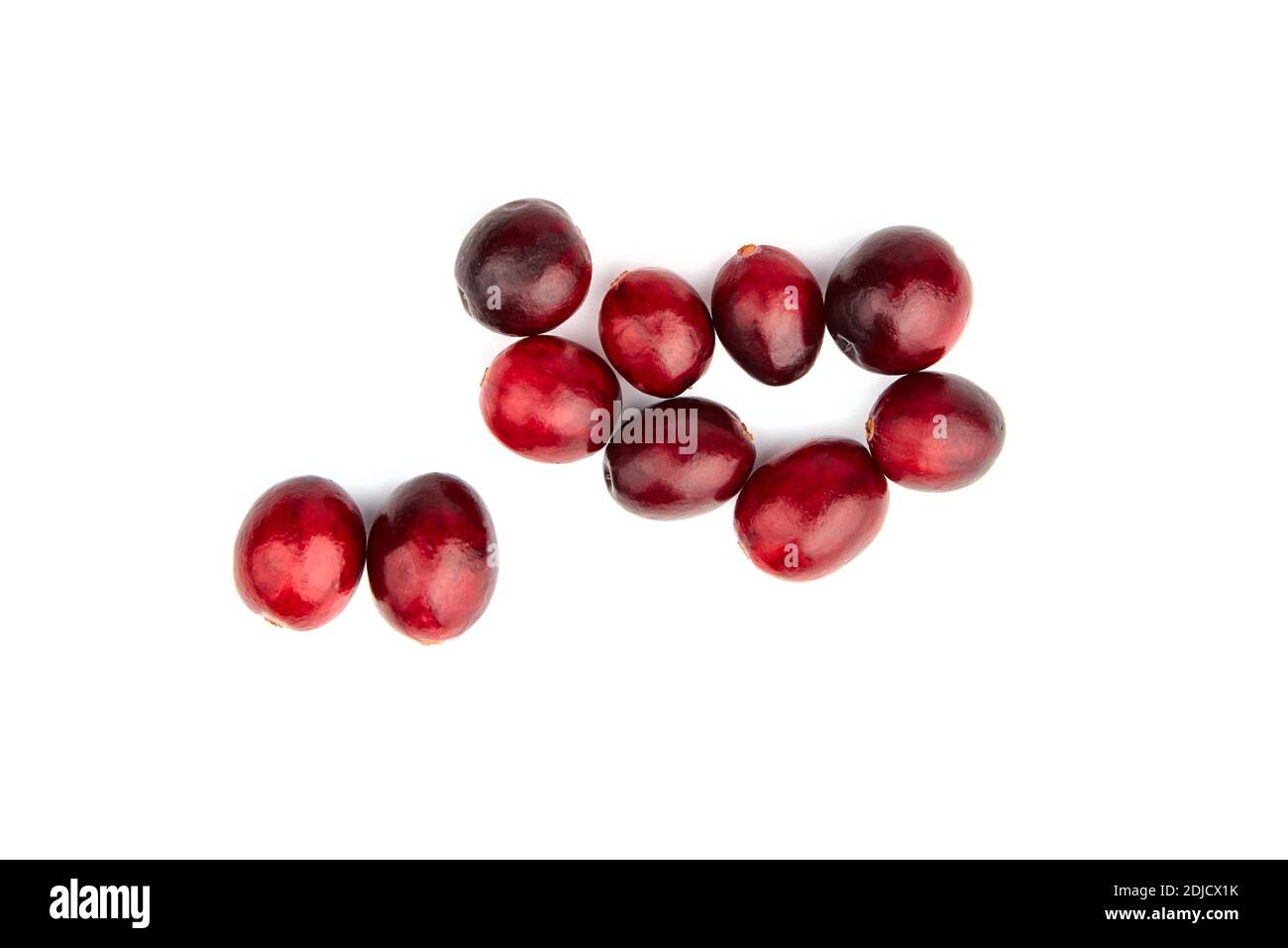 Cranberries isolated on white background. Heap of fresh red marsh ...