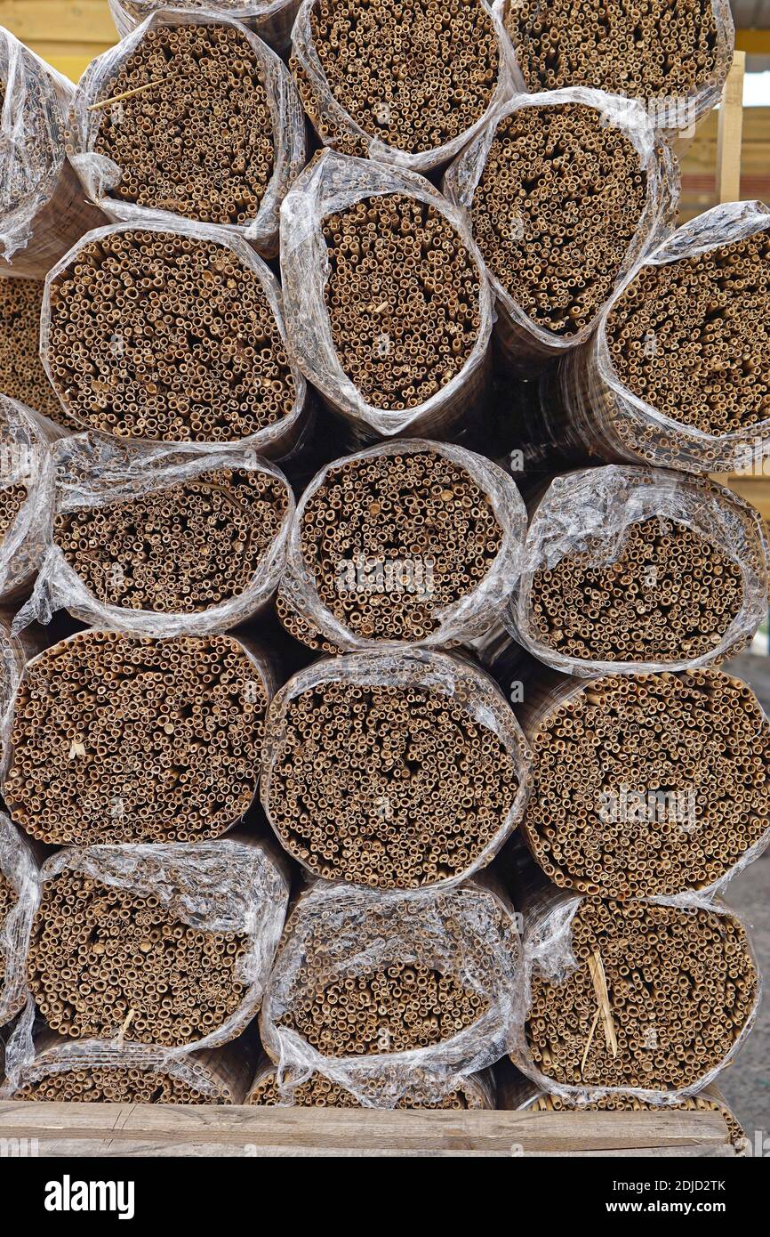 New reed material packed in bundles storage Stock Photo - Alamy
