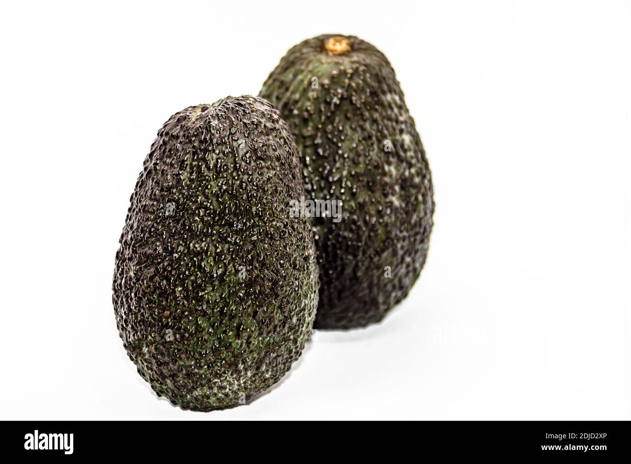 Avocado fruit isolated on white background Stock Photo - Alamy