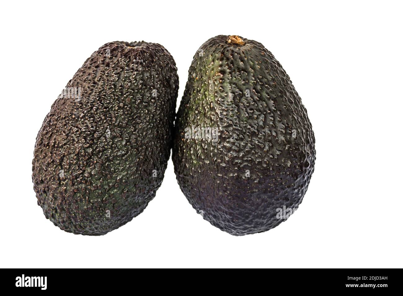 Avocado fruit isolated on white background Stock Photo - Alamy
