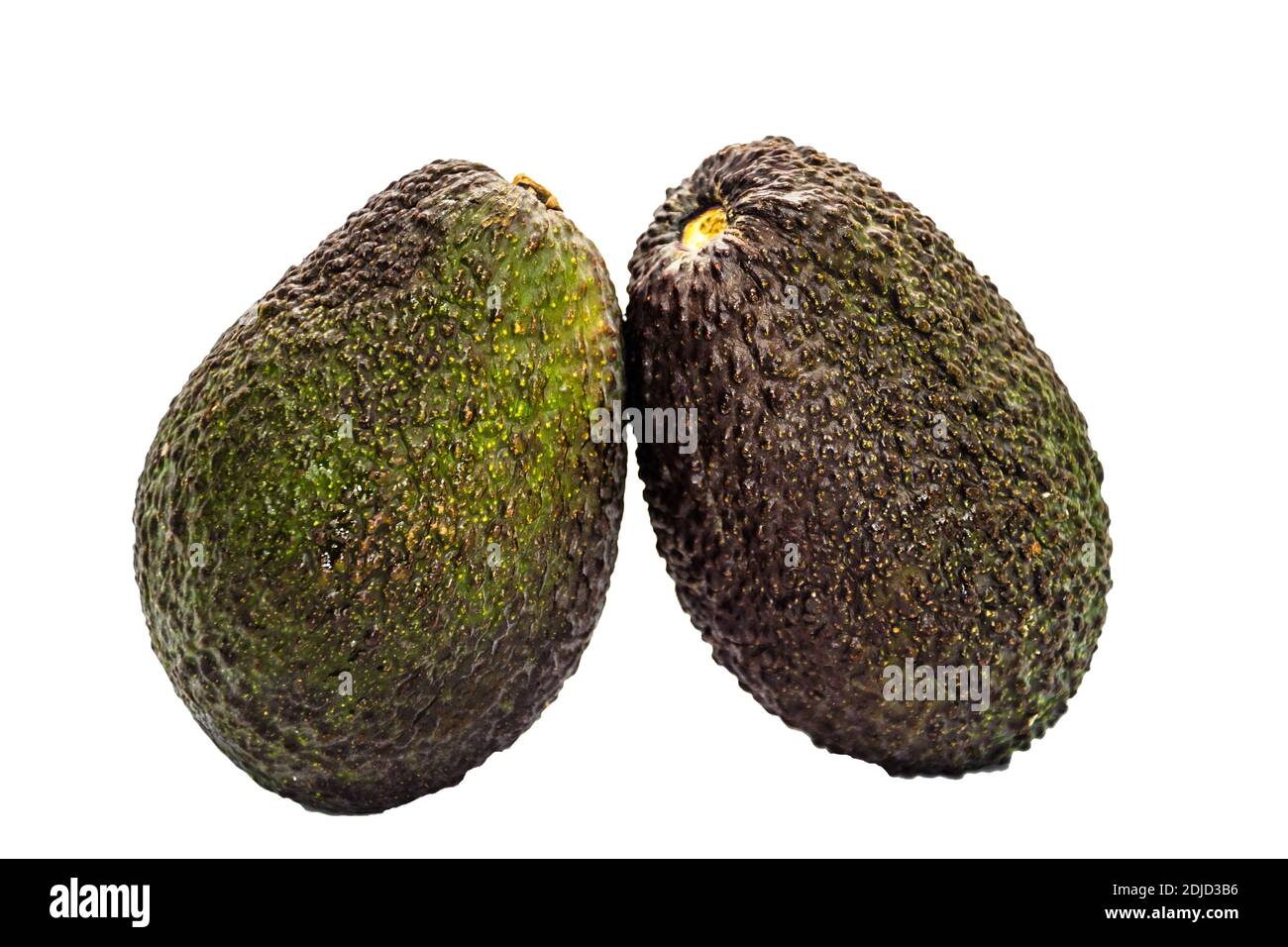 Avocado fruit isolated on white background Stock Photo - Alamy