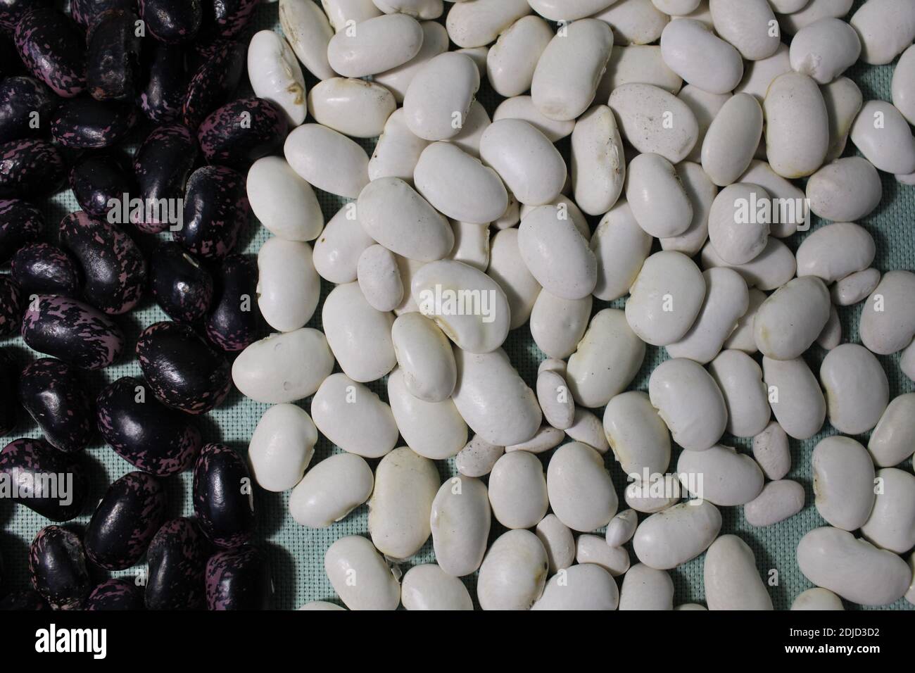 white and blue red beans as a background from eating yin yang with a ...
