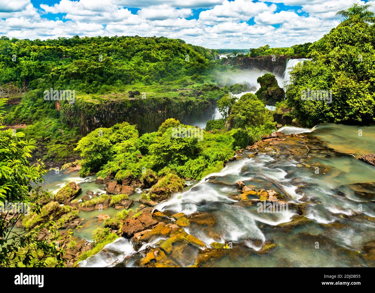 Iguazu Falls in a tropical rainforest in Argentina Stock Photo - Alamy