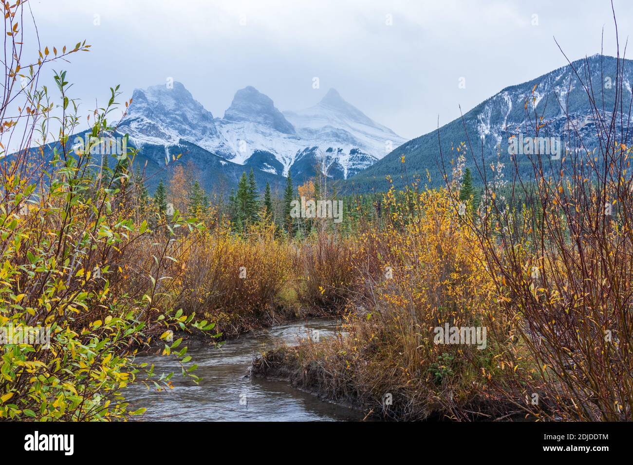 Mountain peaks bow river canmore hi-res stock photography and images ...